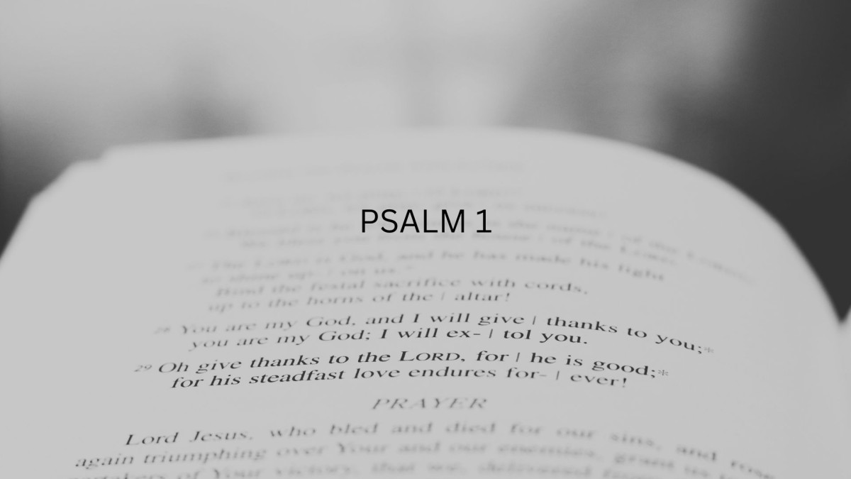 What does Psalms 1 verses 1, 2, 3, 4, 5, and 6 mean or teach us ...