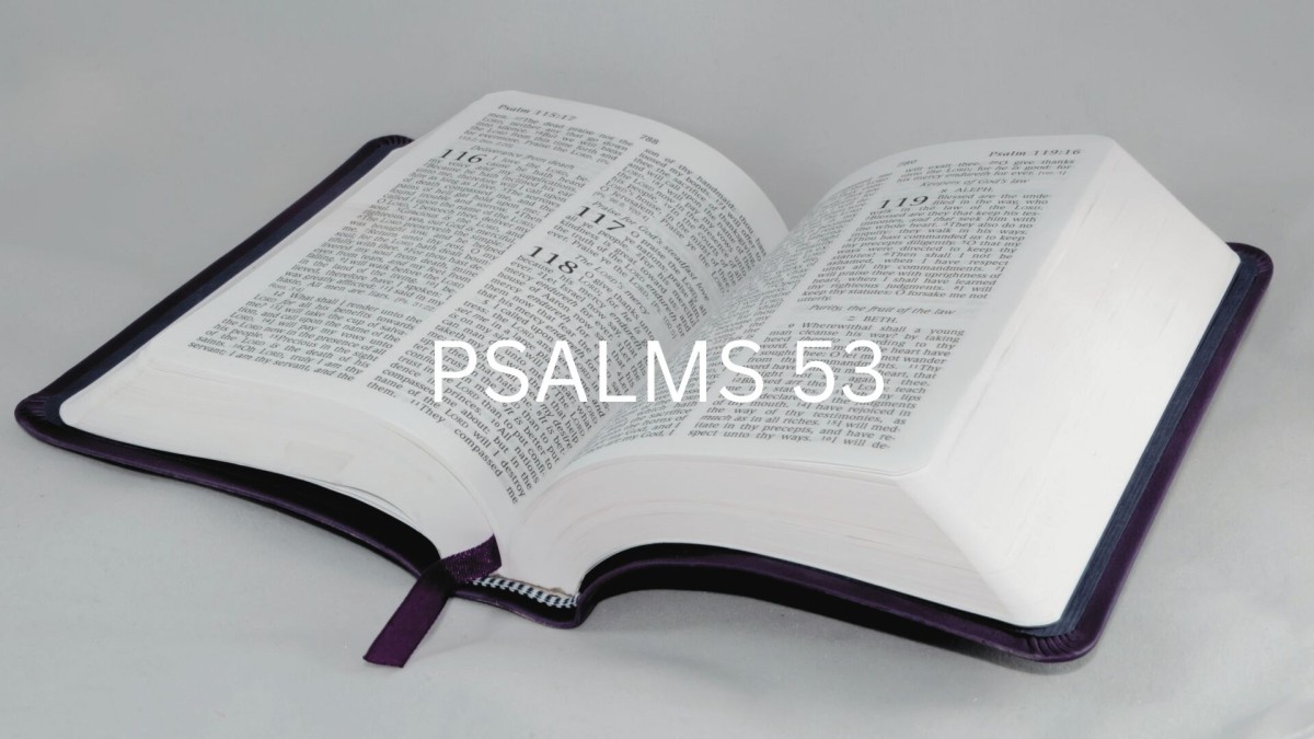 What does Psalm chapter 53 verses 1, 2, 3, 4, 5, and 6 mean or teach us? Bible study commentary ...